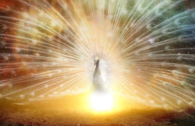 Find Your Feng Shui Lucky Numbers with Numerology | Slybu